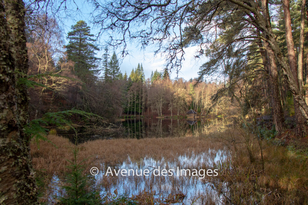 Winter walk around Pitlochry - Avenue Des Images