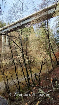 Winter walk around Pitlochry - Avenue Des Images